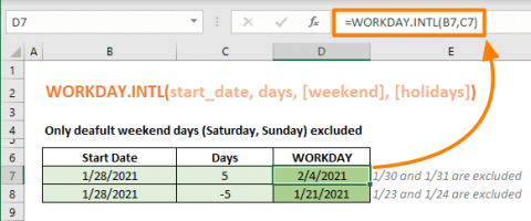 Function: WORKDAY.INTL